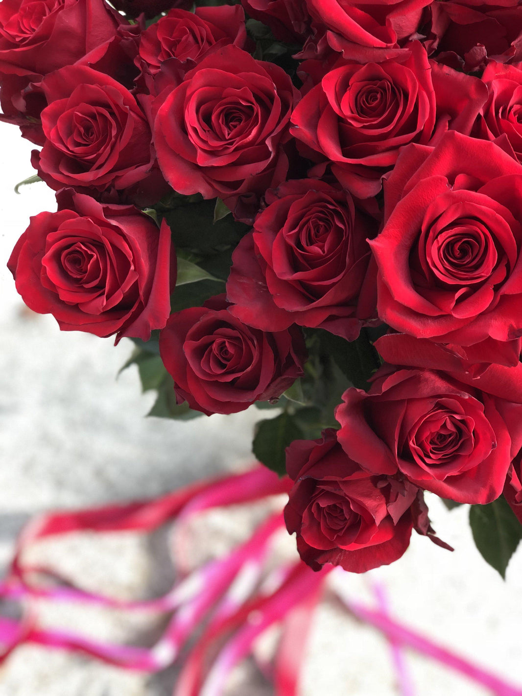 Valentine's Day – Lilac and Willow Flowers